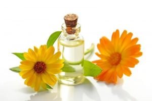 Picaridin Vs DEET Vs Permethrin – Which is the Best Tick Repellent?