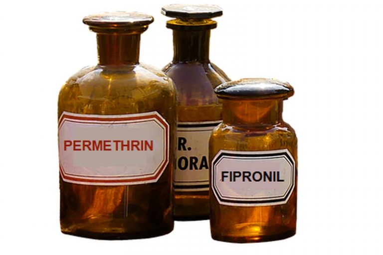 What Is Permethrin Used For